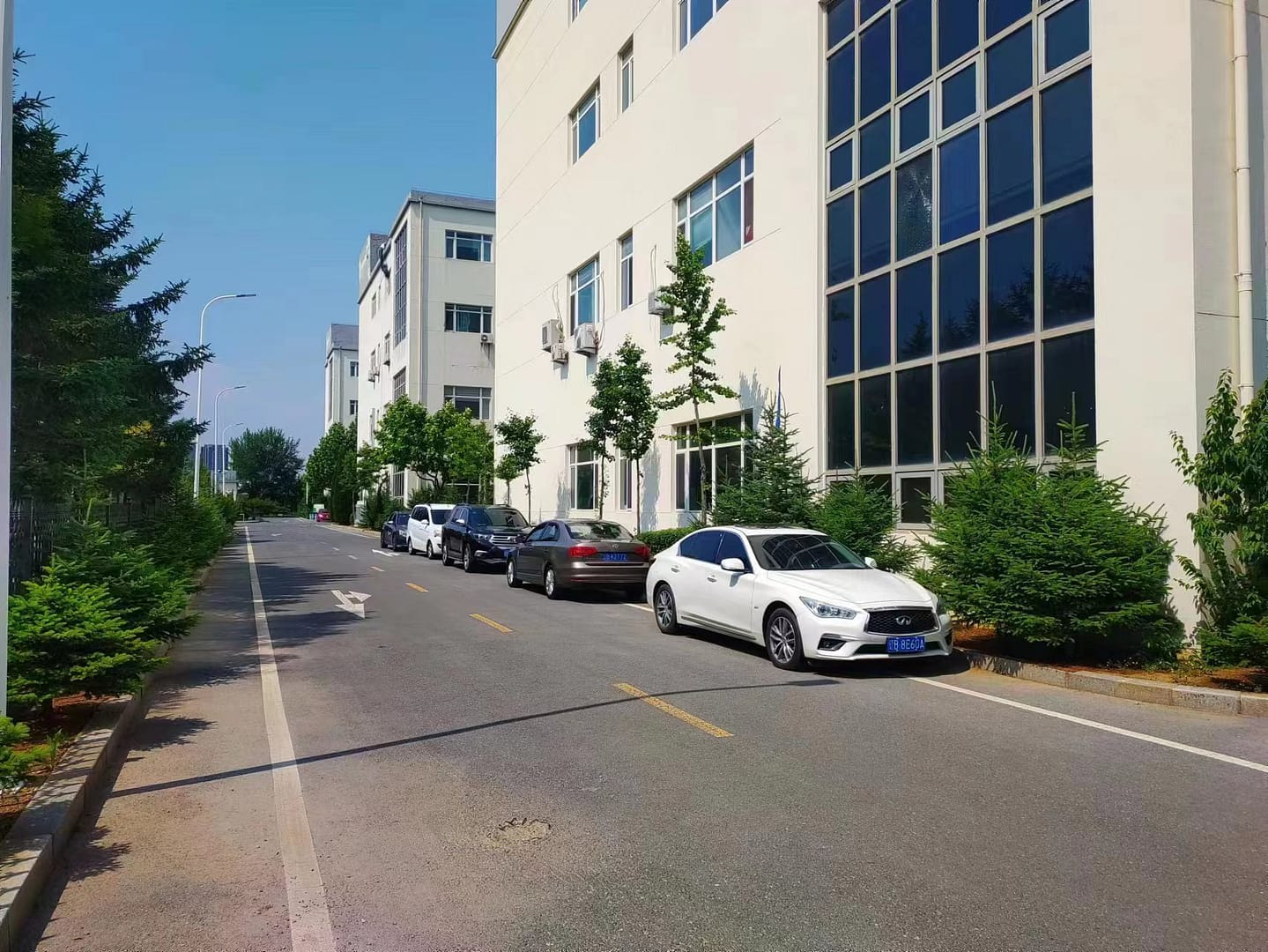 Unveiling Japan's Biotech Marvel: Bacterial Cellulose Manufacturer ...